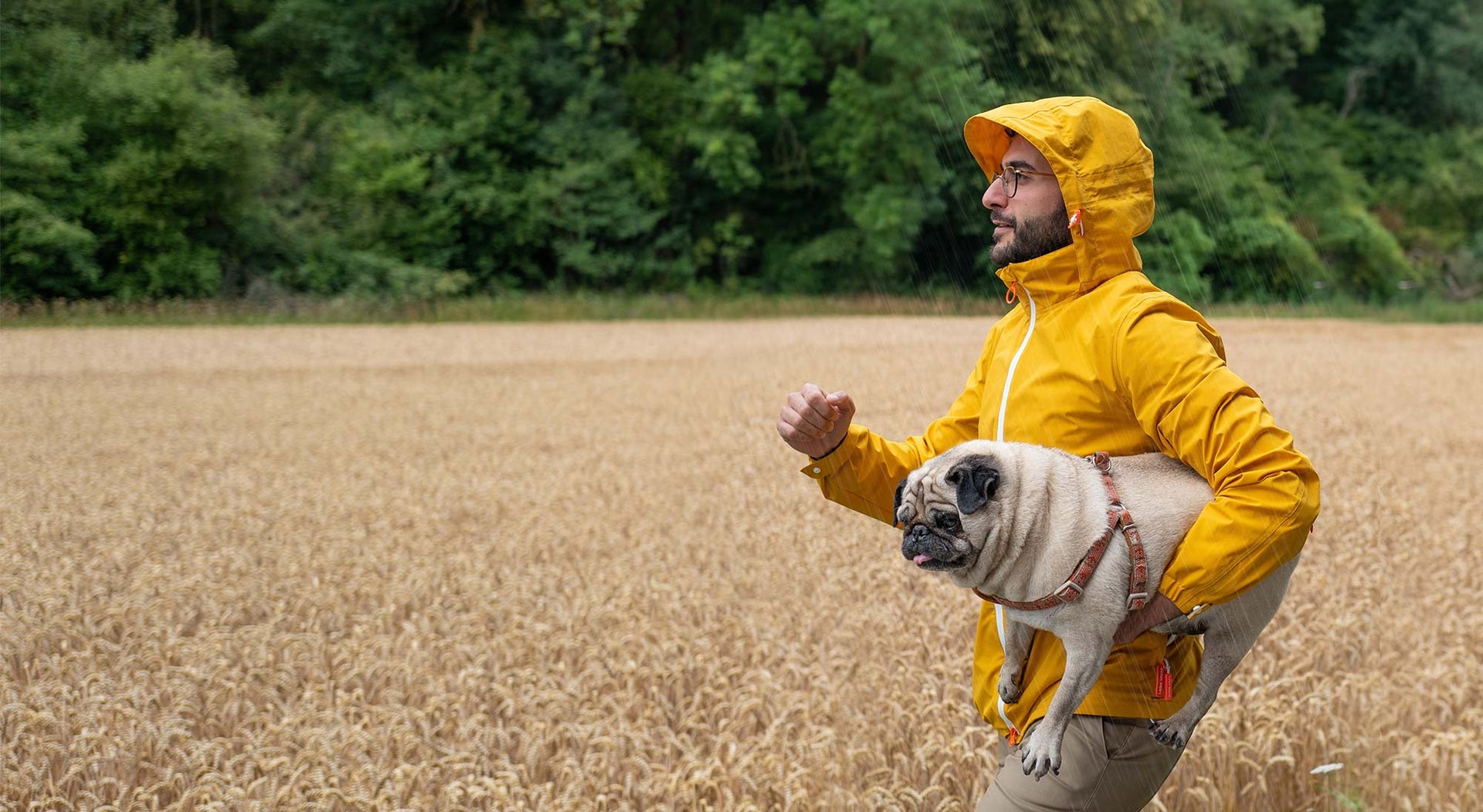 Collections – Labo Mono