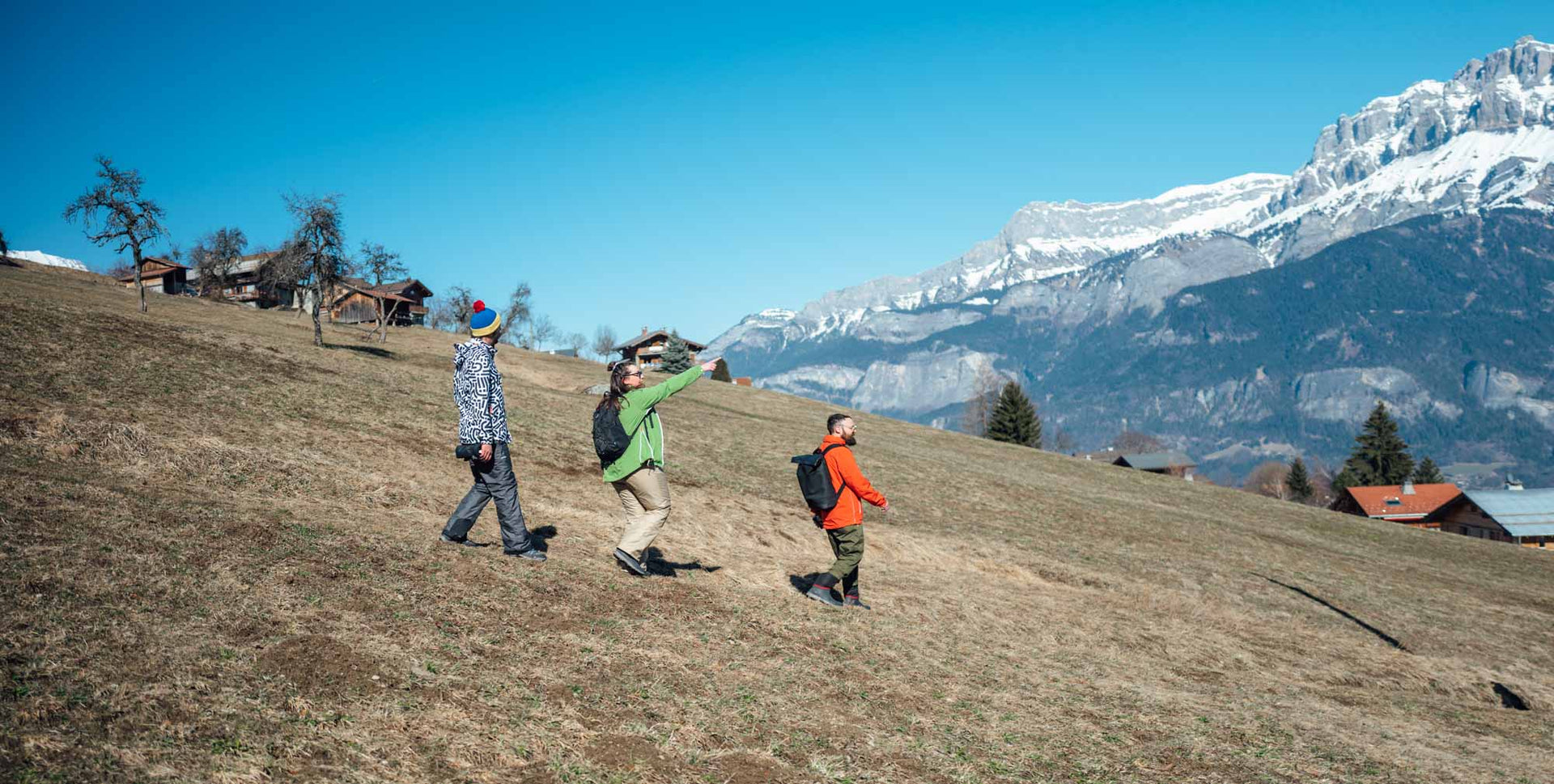 Collections – Labo Mono